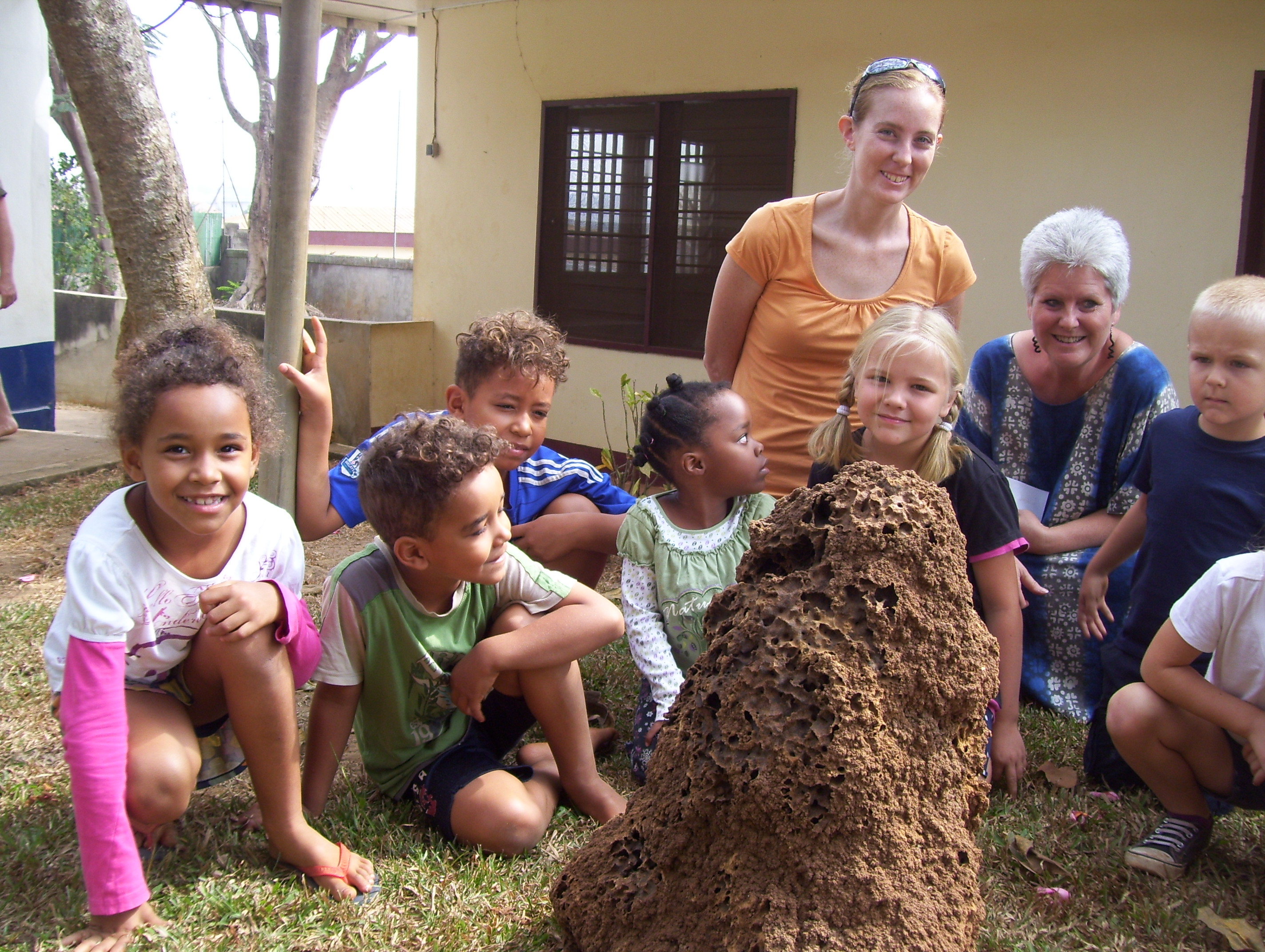 Termites! – The Greenhouse